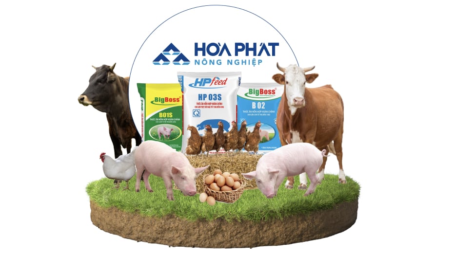 IPO CỔ PHIẾU CÔNG TY CP PHÁT TRIỂN NÔNG NGHIỆP HÒA PHÁT